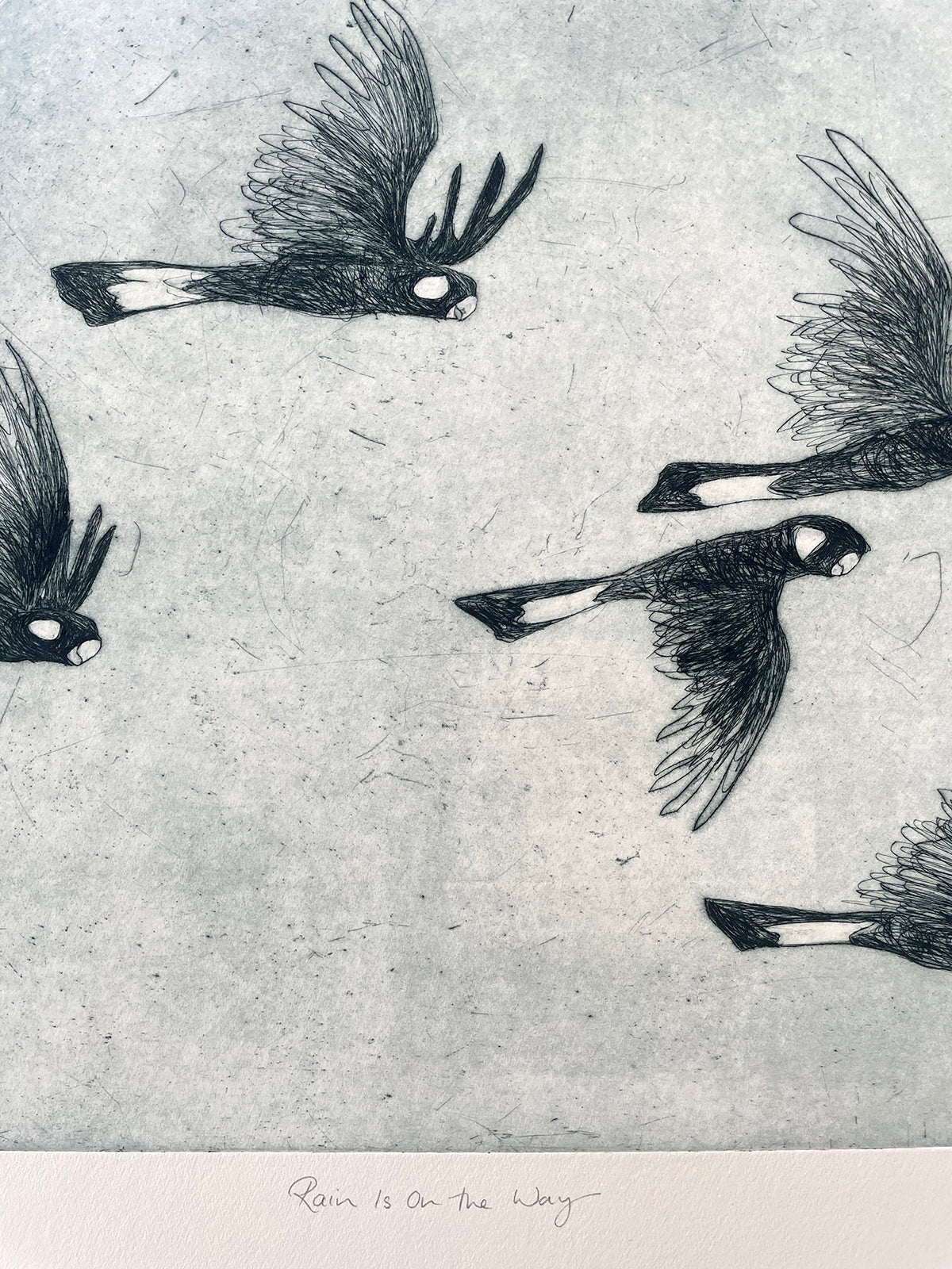 Original Etching - Rain Is On The Way – Bridget Farmer
