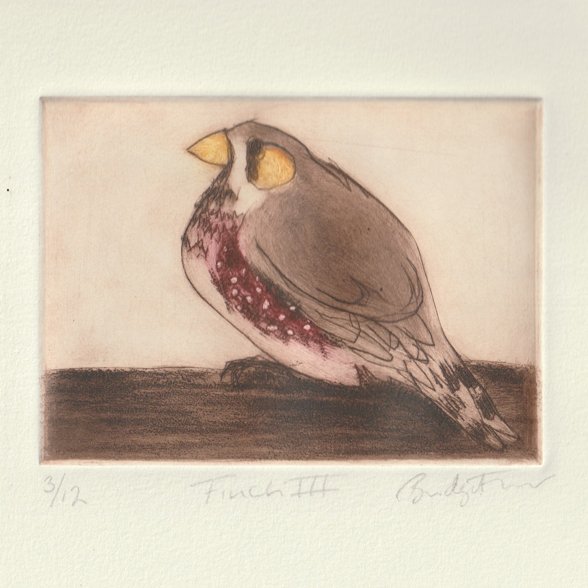 Bridget Farmer Printmaker