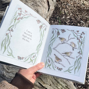 PREORDER ~ I am a Magpie I am a Currawong - A child's first bird book ...