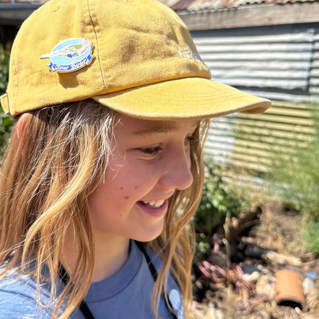 Birder Family Bundle – Bridget Farmer