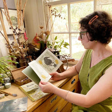 I am a Magpie I am a Currawong - A child's first bird book -CBCA 2025 ...