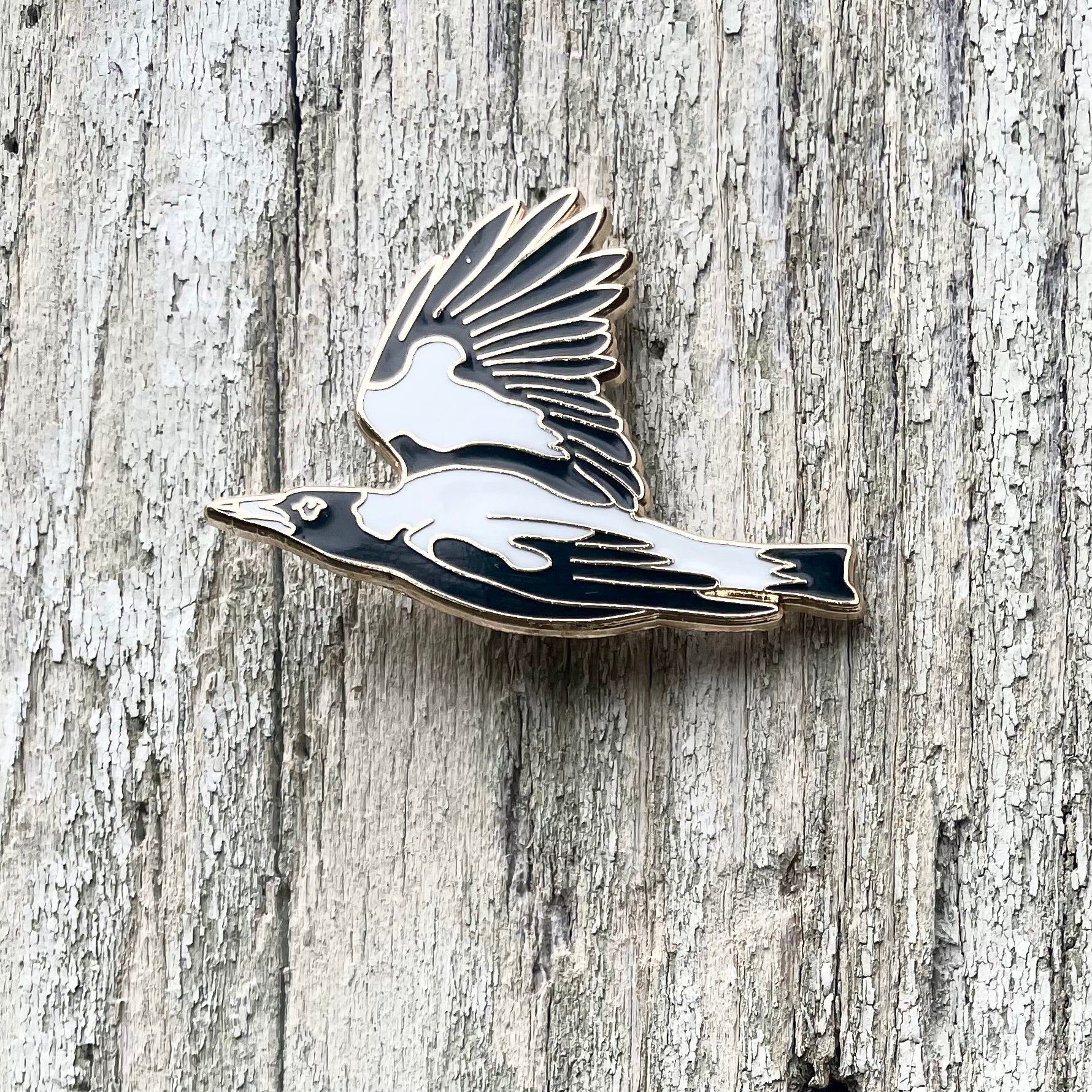 Australian Magpie In Flight Enamel Pin – Bridget Farmer