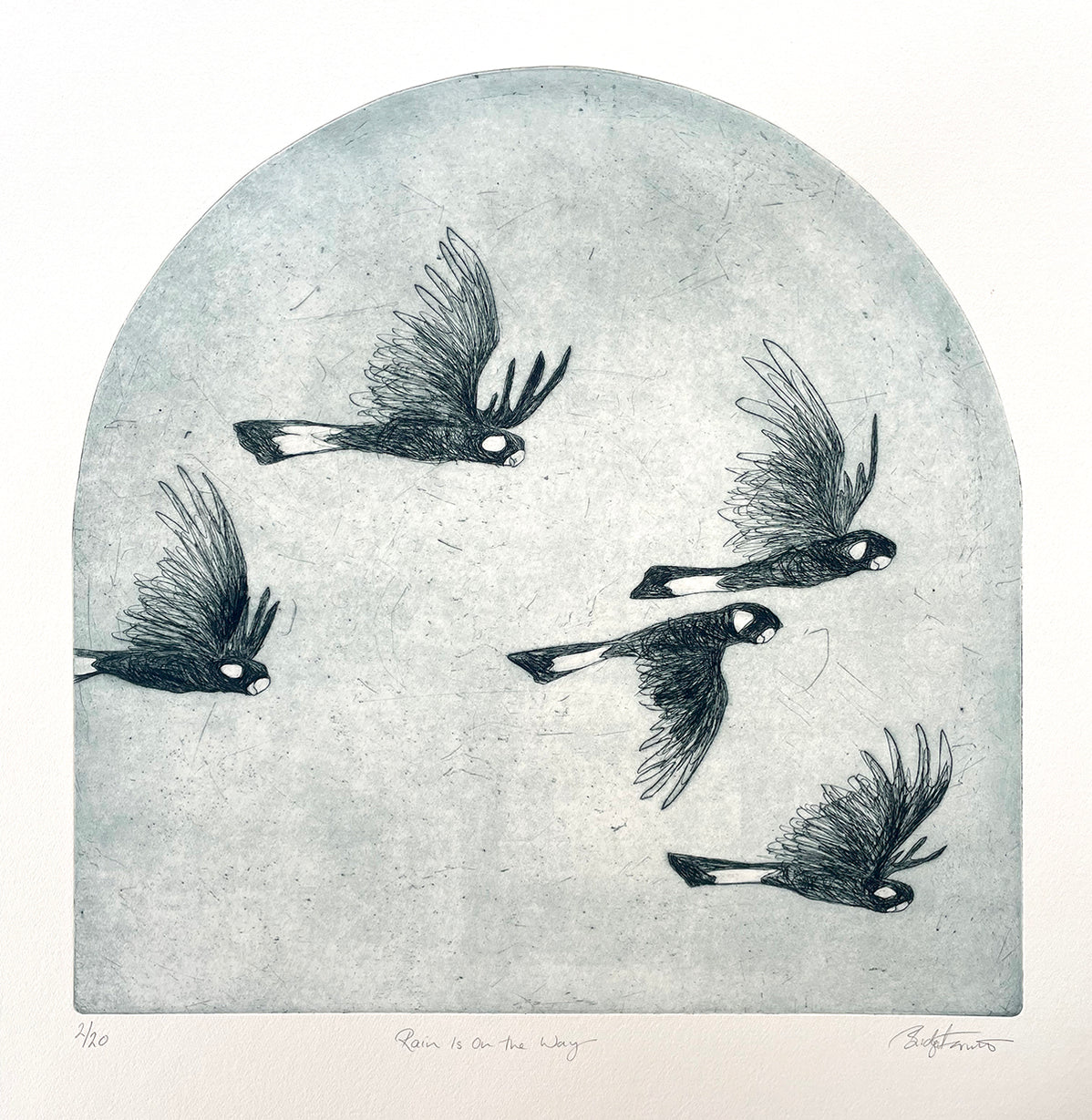 Original Etchings — Bridget Farmer