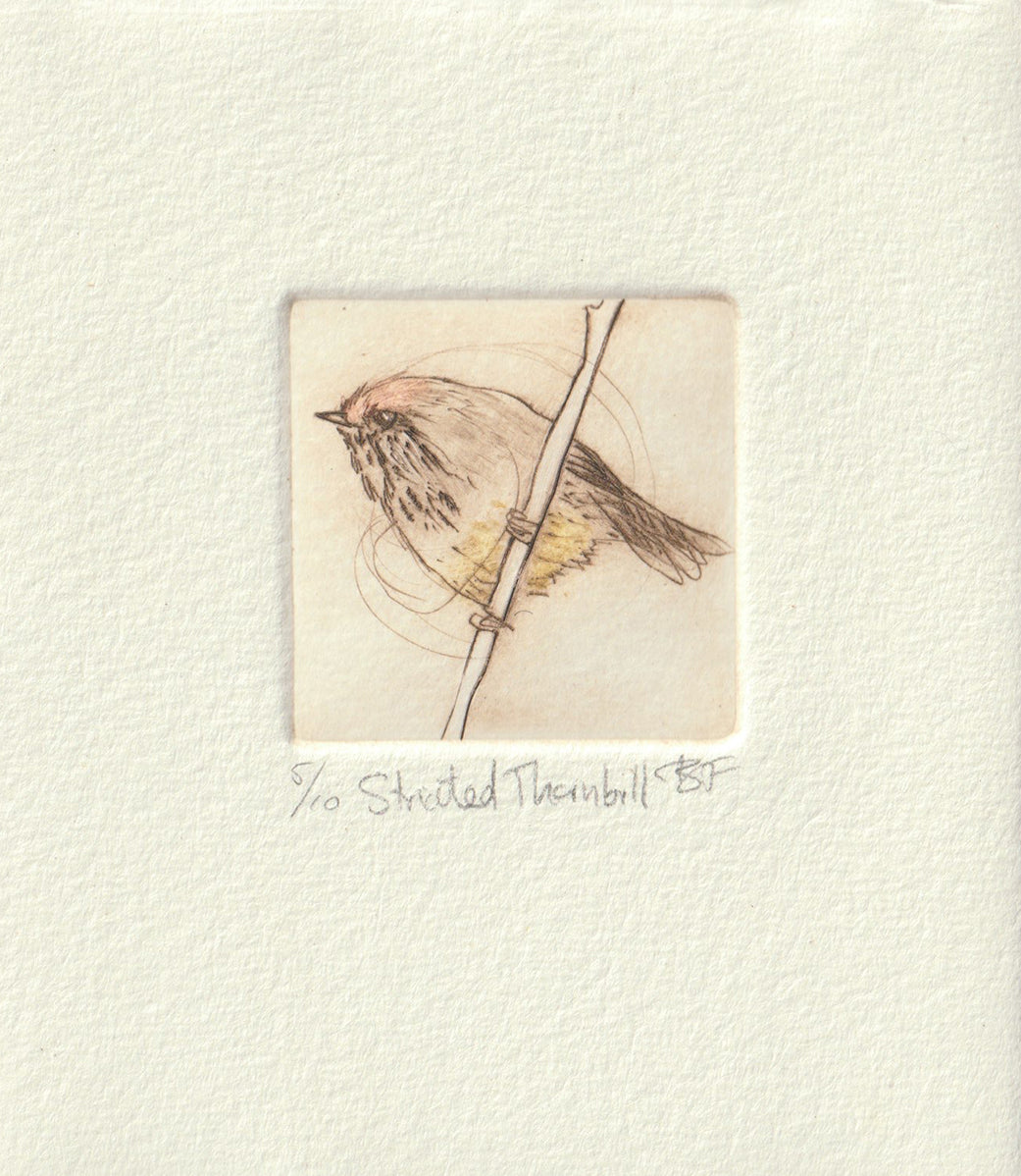 Bridget Farmer Printmaker