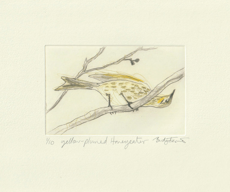 Bridget Farmer Printmaker