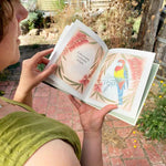 I am a Magpie I am a Currawong - A child's first bird book -CBCA 2025 ...