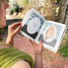 I am a Magpie I am a Currawong - A child's first bird book -CBCA 2025 ...