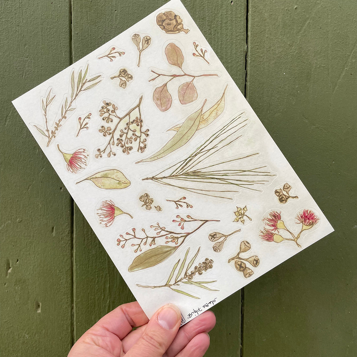 Australian Bush Sticker Sheet A5 – Bridget Farmer