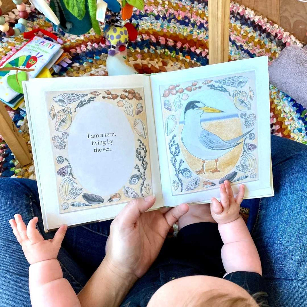 I am a Magpie, I am a Currawong – Bridget Farmer