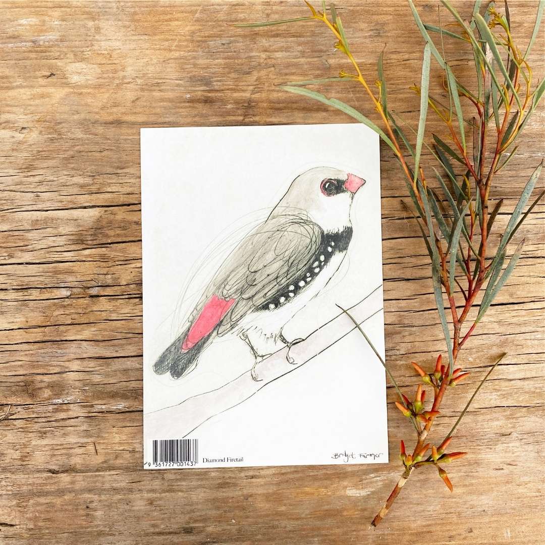 Diamond Firetail Sticker – Bridget Farmer