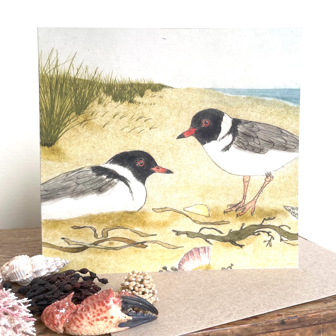 Hooded Plovers Greeting Card "The Beach Birds" Collection – Bridget Farmer